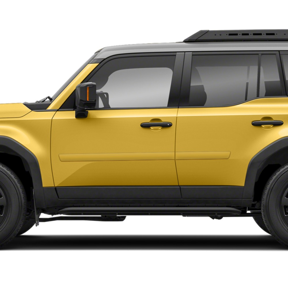 Painted Body Side Molding : Toyota Land Cruiser Painted ...