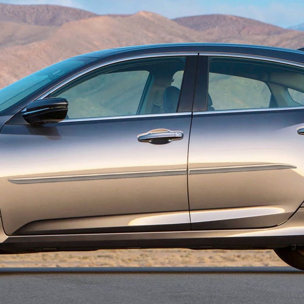 Painted Body Side Molding : Honda Insight Painted Body Side ...