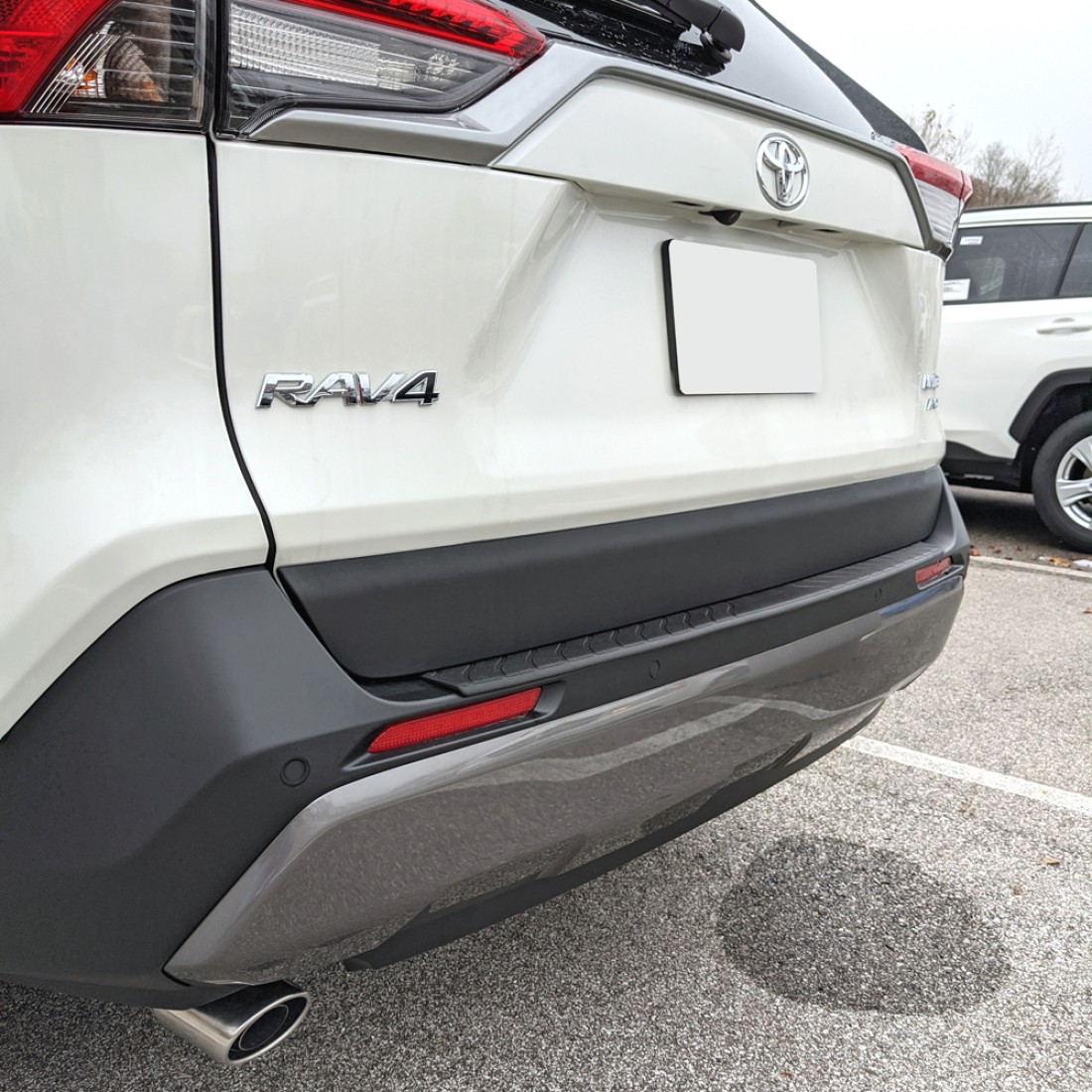 Bumper Protectors : Toyota RAV4 Rear Bumper Protector 2019 ...