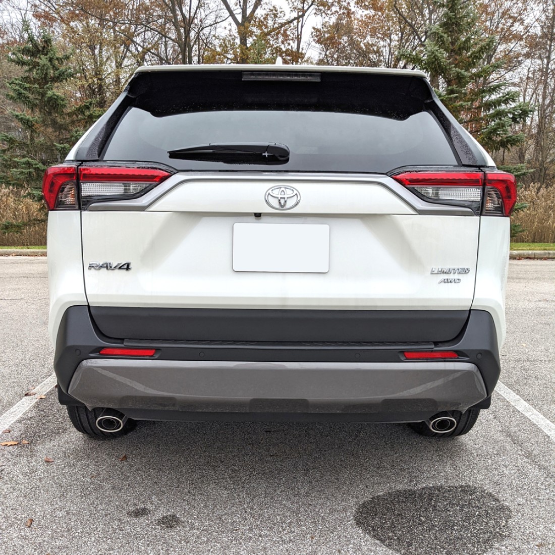Bumper Protectors : Toyota RAV4 Rear Bumper Protector 2019 ...