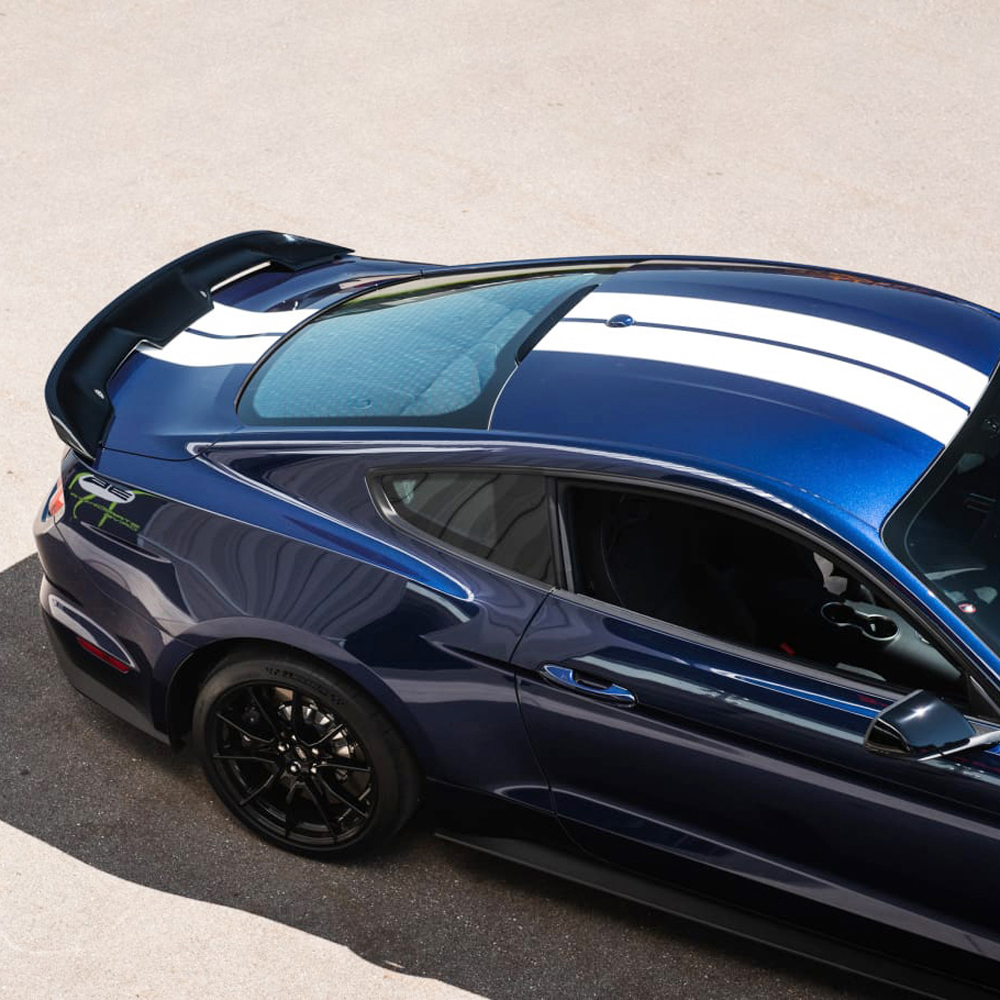 Pedestal Spoilers : Ford Mustang GT350 Style Pedestal Rear ...
